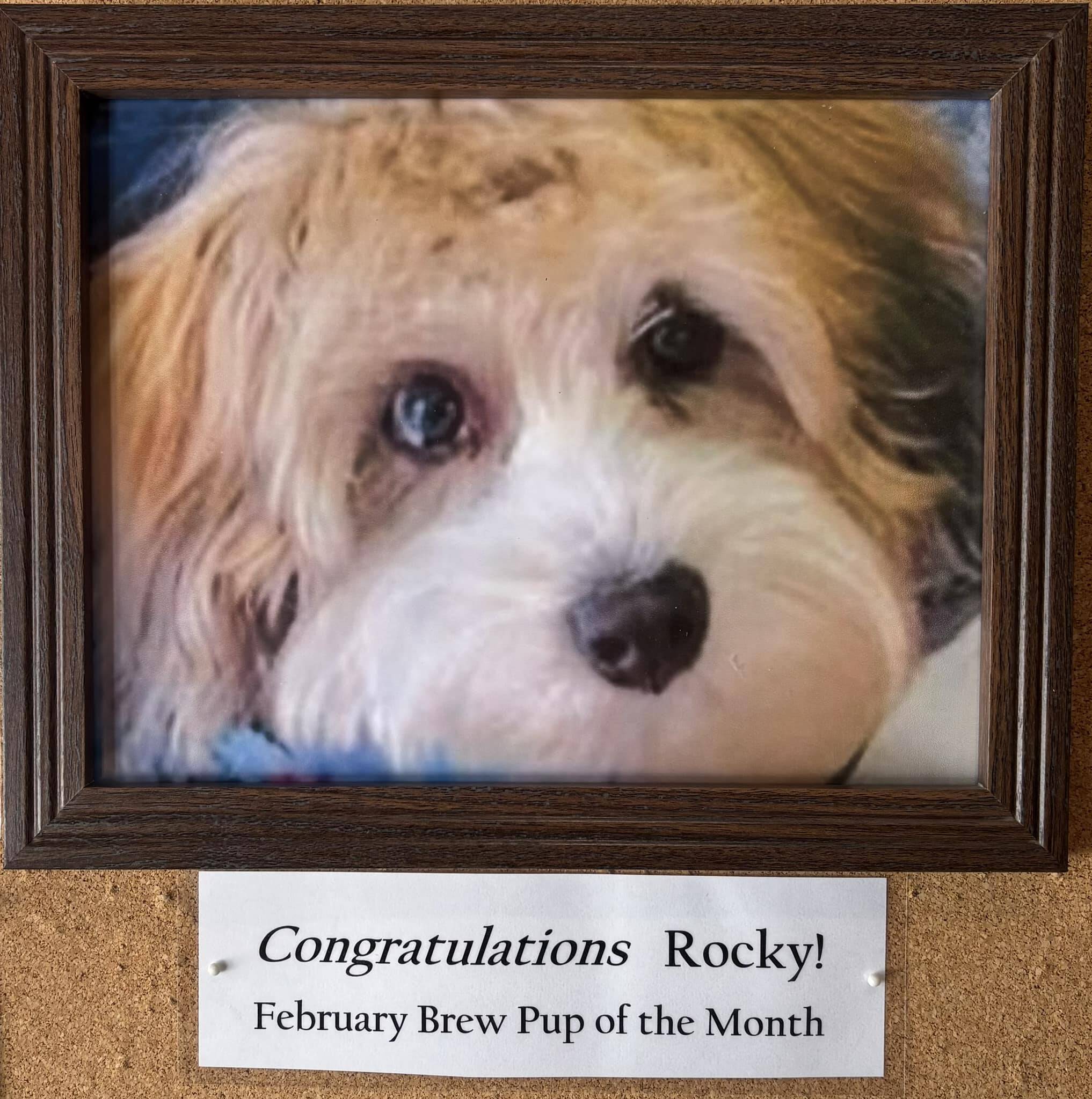 Home | Cold Spring Brewery